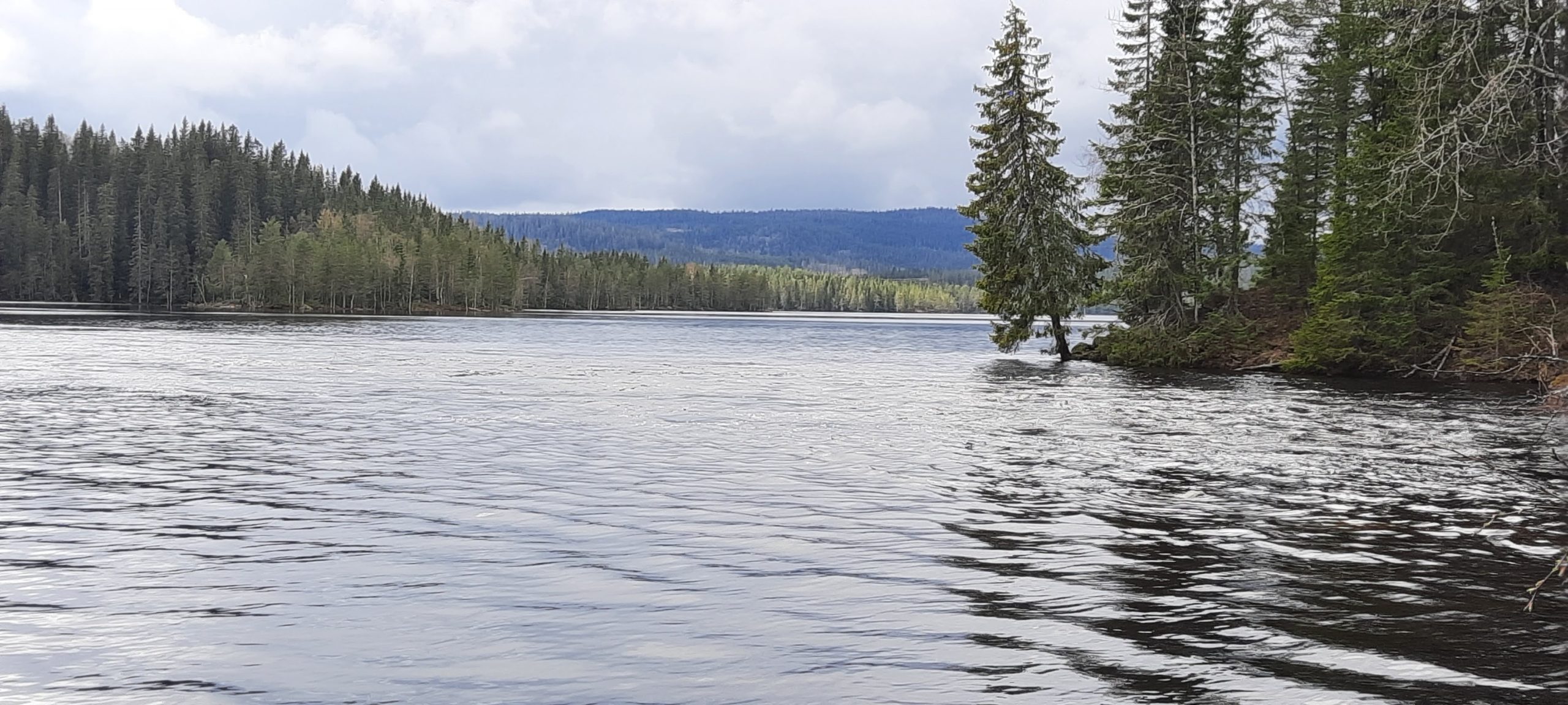 Nordmarka • Ofa.no - Oslomarkas Fiskeadministrasjon